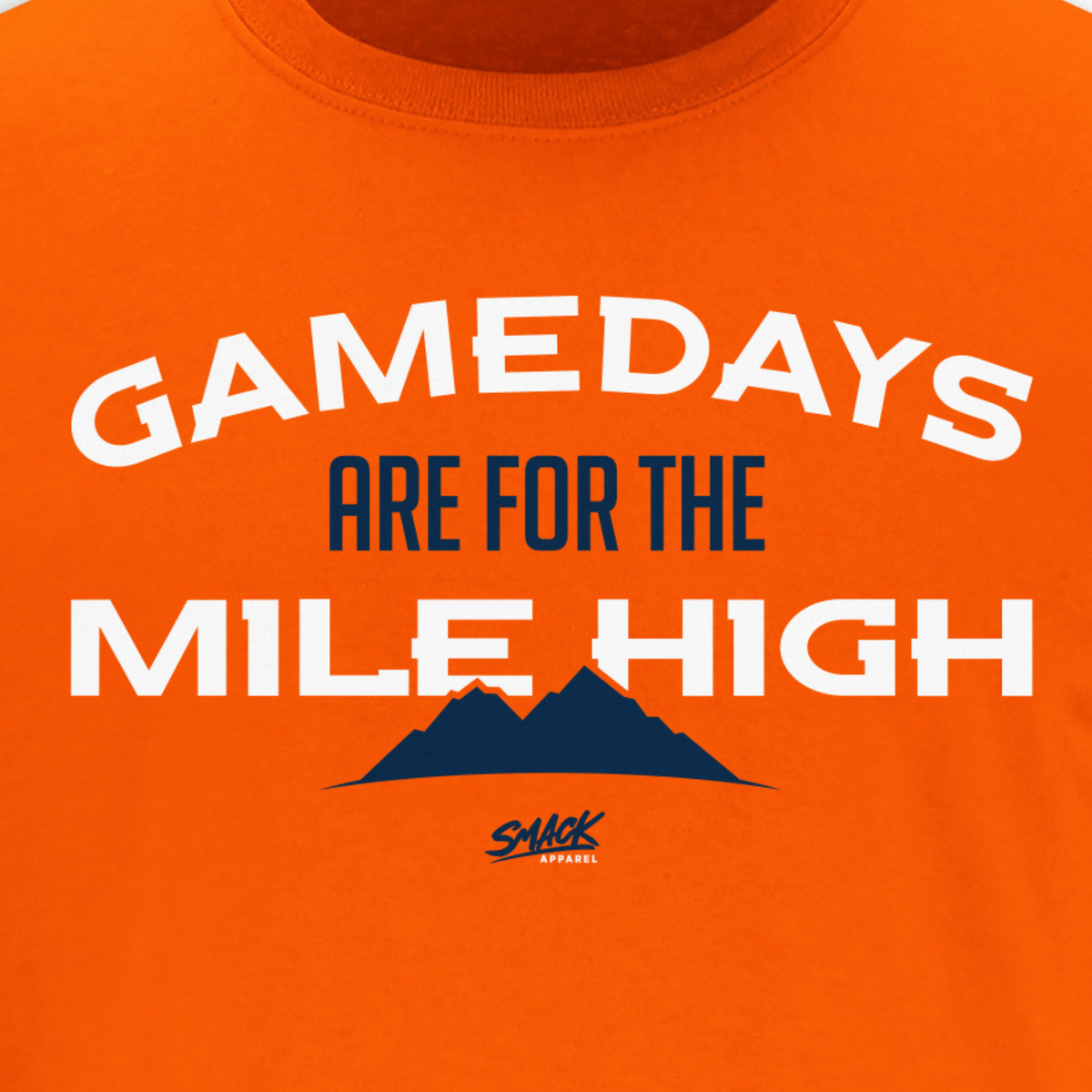 Gamedays T-Shirt for Denver Football Fans – Smack Apparel